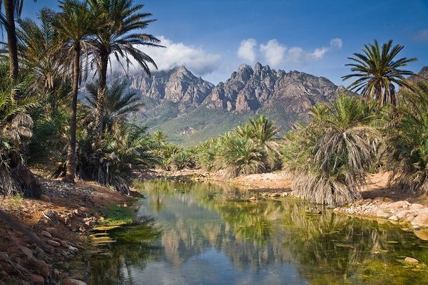 Socotra - A Closer Look On Syria