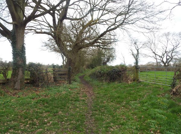 Parishes - Chesterwiki