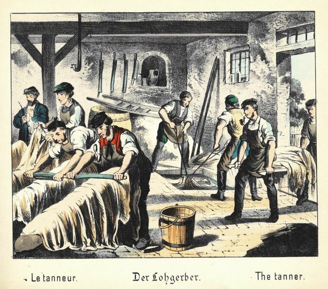 Tanning - Chesterwiki