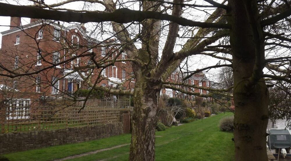 Dee Lane - Chesterwiki