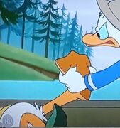 Daisy Duck - Drawn Feet Wiki