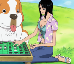 Nico Robin - Drawn Feet Wiki