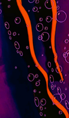 Ariel - Drawn Feet Wiki