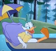 Daisy Duck - Drawn Feet Wiki