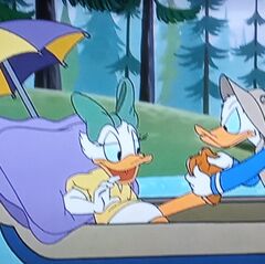 Daisy Duck - Drawn Feet Wiki