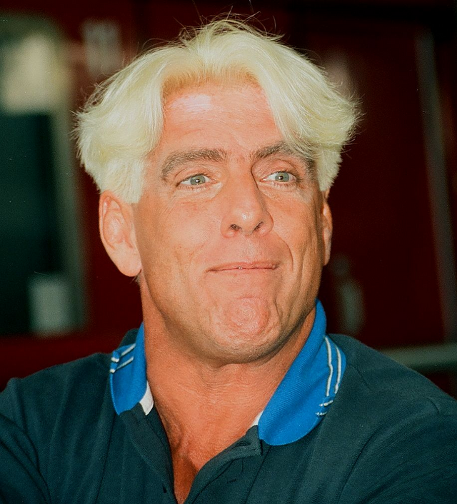 Ric Flair - Family Guy Wiki