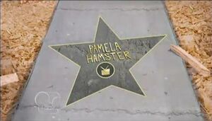 Pamela Hamster - Fish Hooks Wiki