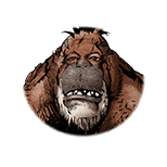 (SR) Forever (Caged) - JoJoSS Wiki