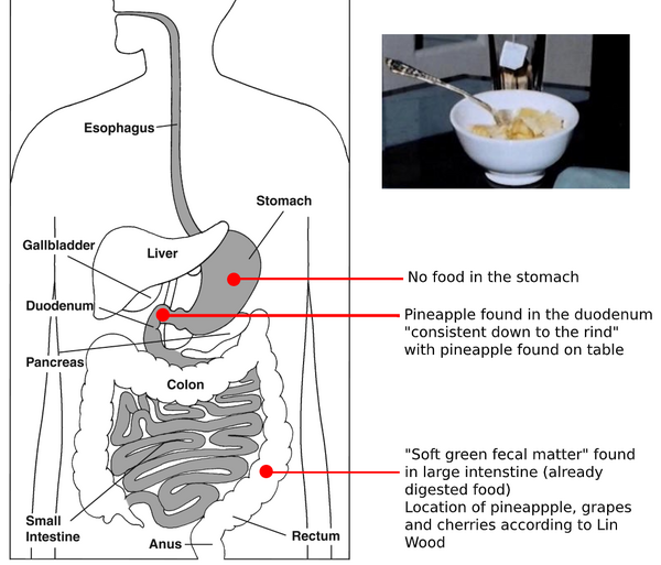 Pineapple - Jonbenet Ramsey Wiki