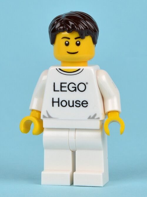 LEGO House Minifigure - Brickipedia, the LEGO Wiki