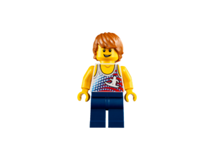 31079 Sunshine Surfer Van - Brickipedia, the LEGO Wiki