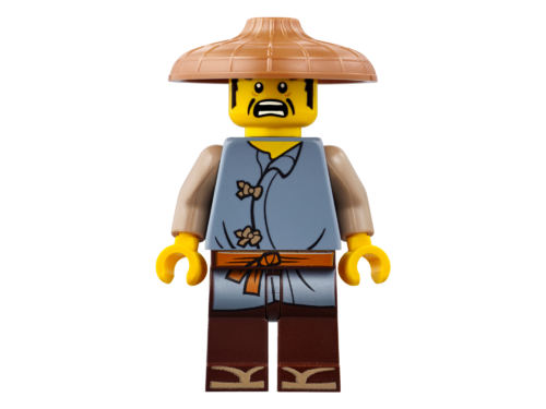 Ray (The LEGO NINJAGO Movie) - Brickipedia, the LEGO Wiki