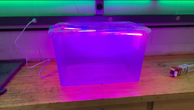 Algae Harvester and Dehydrator - Mindworks