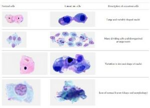 Pocket Microscope Slide Scanner - Mindworks