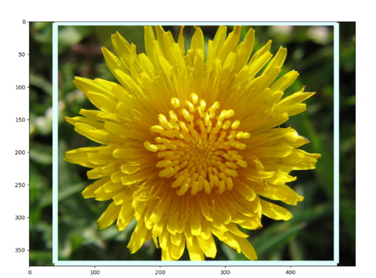 Raspberry Pi Image Processing - Mindworks