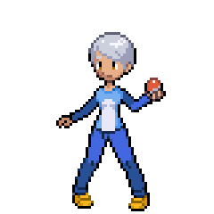 Penguin Costume - PokeMMO Wiki