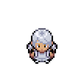 Giant Turtle Shell - PokeMMO Wiki