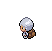 Giant Turtle Shell - PokeMMO Wiki