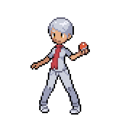 Scarf - PokeMMO Wiki