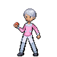 Fairy Elfbot Outfit - PokeMMO Wiki