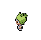 Chestnut Hat - PokeMMO Wiki