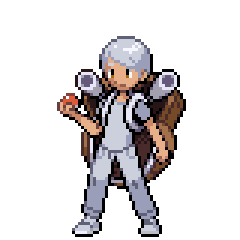 Giant Turtle Shell - PokeMMO Wiki