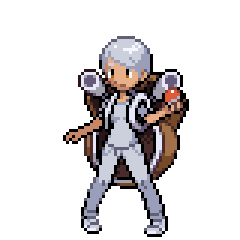 Giant Turtle Shell - PokeMMO Wiki