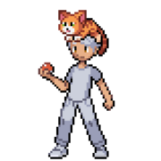 Pumpcat - PokeMMO Wiki