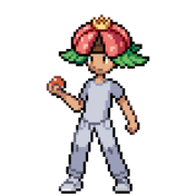 Poisonous Flower Hat - PokeMMO Wiki