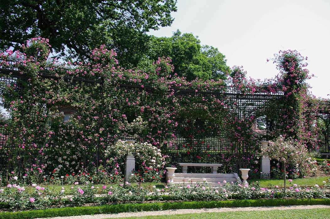 Alexandre Girault – Rose-Biblio