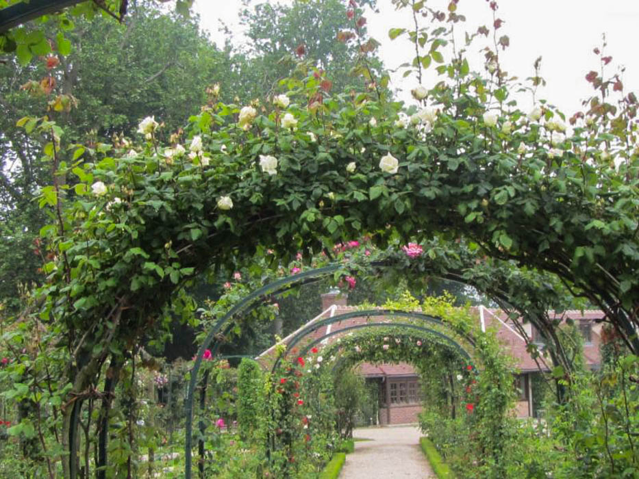 Datei:Mme Jules Bouché Grimpant, Stéphane Barth, L'Hay 3-w.jpg – Rose ...