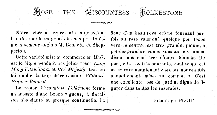 Viscountess Folkestone – Rose-Biblio