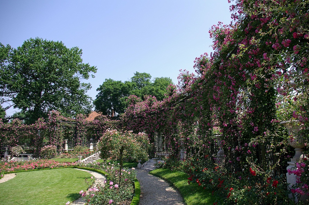 Roseraie Du Val-de-Marne – Rose-Biblio
