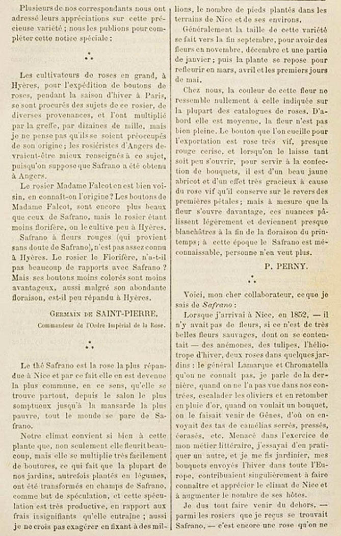 Datei:Safrano, JdR 1882 Text 2-w.jpg – Rose-Biblio