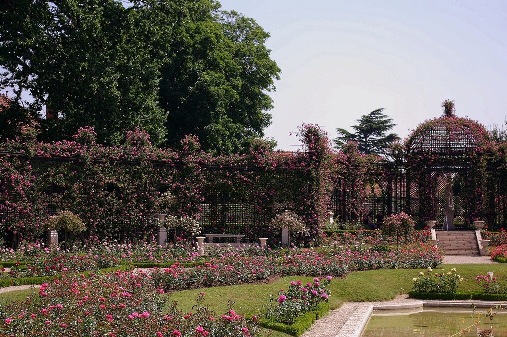 Roseraie Du Val-de-Marne – Rose-Biblio