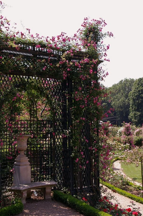 Alexandre Girault – Rose-Biblio