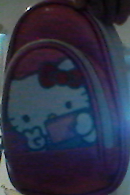 Hello Kitty Nintendo DS case (unidentified 2) - Sanrio Wiki