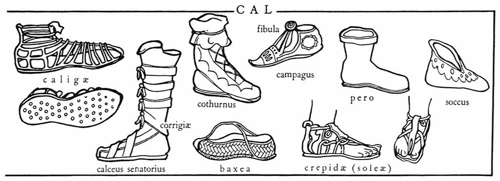 El calzado - Sol y Sombra