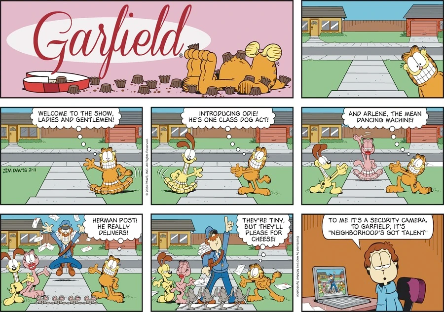 6105: Garfield Plus the Correct Character Name - SRoMG Explained
