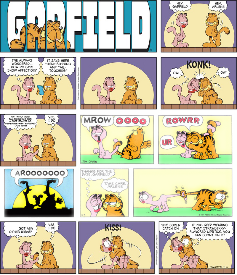 5721: Love and Affection - SRoMG Explained