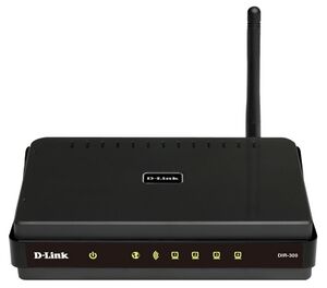 D-Link DIR-300 rev B1 - TechInfoDepot