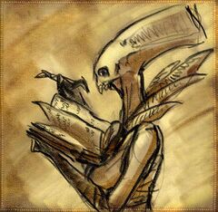 The Witch - Teraurge