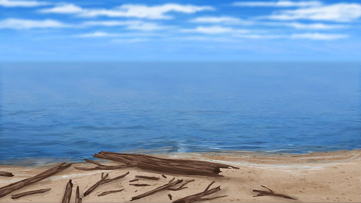Beach driftwood - Teraurge