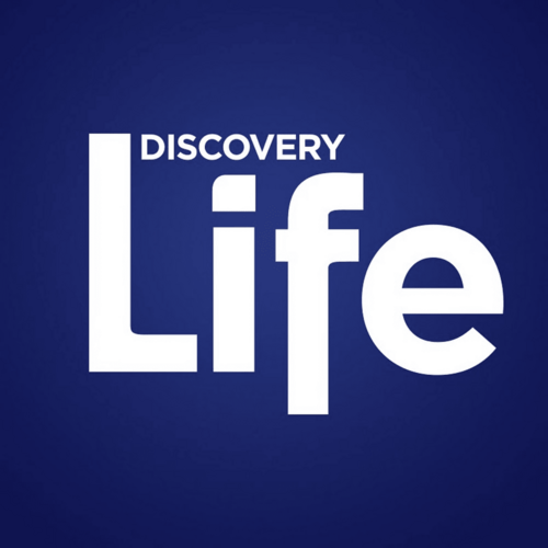 Discovery Life (United States) - YouTube Logos, the logo and branding site
