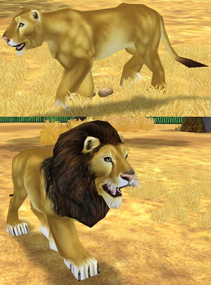 Lion (Zoo Tycoon 2) - Zoo Tycoon Wiki